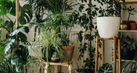 Decoration.gr - Online Δωρεάν περιοδικο για το σπιτι με ιδεες ...